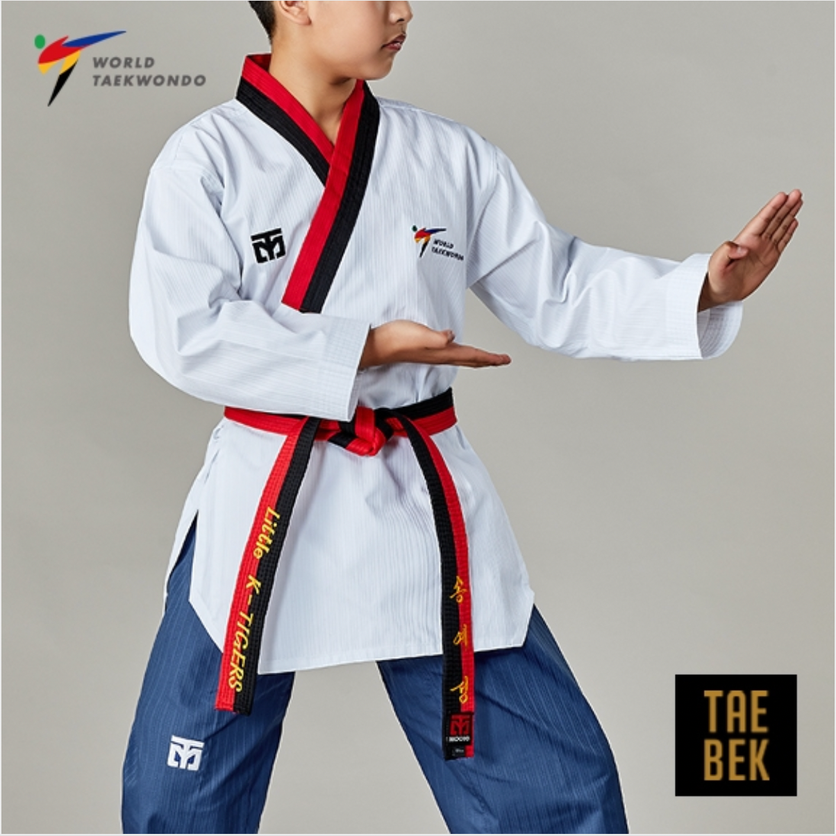 TAEBEK Poomsae Uniform (Poom, Male) – mootonorge